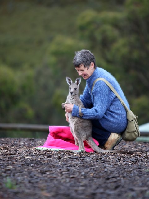 BBC One - Nature's Miracle Orphans, Series 1 - Stella Reid