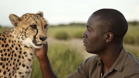 BBC Two - Super Senses: The Secret Power of Animals - Patrick Aryee