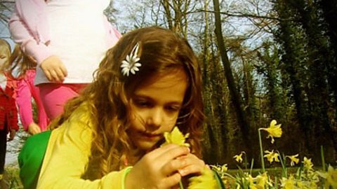 BBC Blogs - CBeebies Grown-ups - CBeebies' Spring Celebration