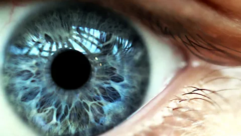 Evolution: Why do your eyes face forwards?