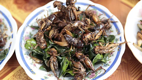 Could insects be the wonder food of the future?