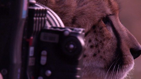 BBC Four - Life Story