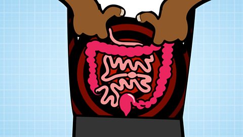 BBC Scotland - BBC Scotland - Lavatorial humour: have we finally poo ...