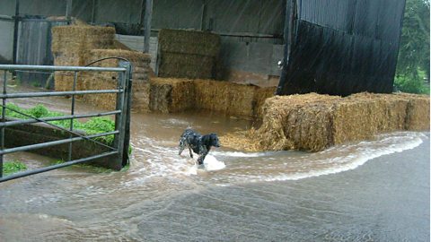 BBC Radio 4 - The Archers - True stories: Oliver Surman: July 2007 ...