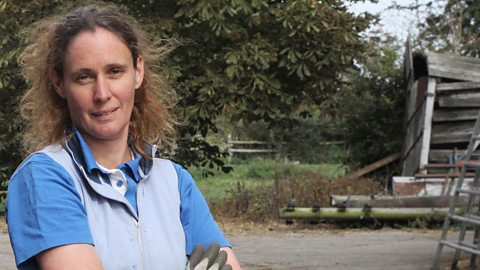 BBC Two - The Ladykillers: Pest Detectives - Meet the Ladykillers