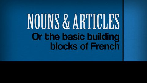 Nouns and articles - Grammar: Nouns and adjectives: Video playlist ...