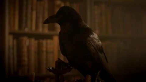 BBC One - Jonathan Strange & Mr Norrell - Sir Walter Pole