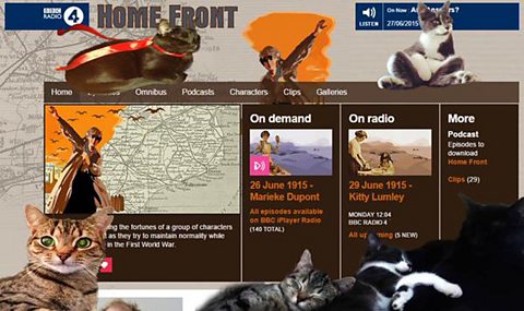 BBC Radio 4 - Radio 4 in Four - Cats listening to Radio 4