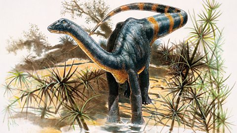 BBC Radio 4 - Natural Histories, Mammoths - 13 mammoth facts about mammoths