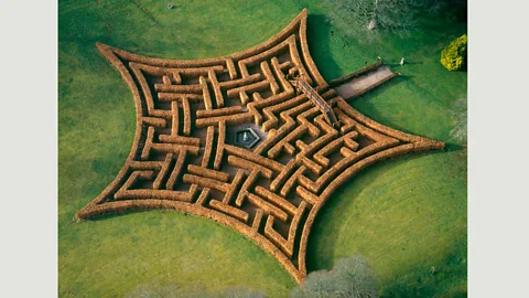 Inside the mind of a mazemaker