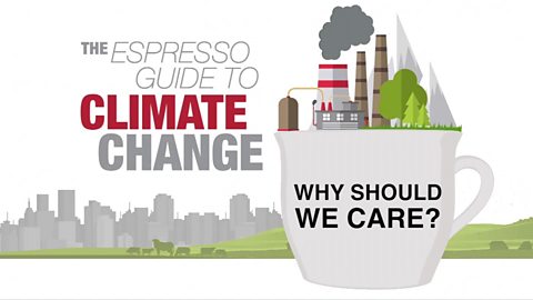 EPA chief doubts carbon dioxide's role in global warming - BBC News