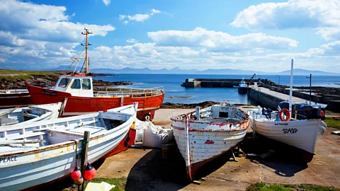 The last king of Ireland