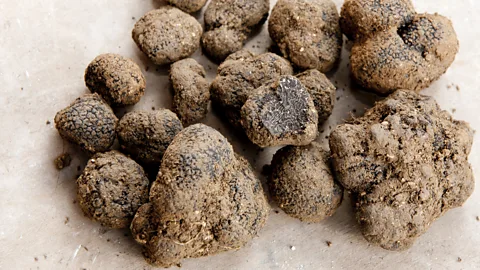 Why do truffles taste so weird?