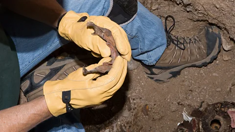 Britain’s real-life bone collectors