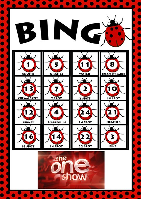 BBC One - The One Show - Play Ladybird Bingo