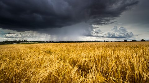 BBC Radio 4 - In Our Time - The In Our Time Listeners' Top 10