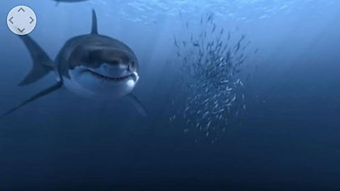 BBC Blogs - Academy - What makes a good 360 video?