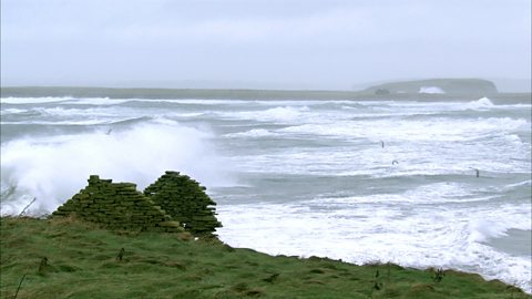 BBC One - Highlands - Scotland's Wild Heart - The Sinister Side of Seals