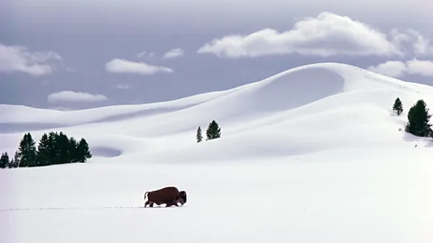 A surreal, frozen geothermal world