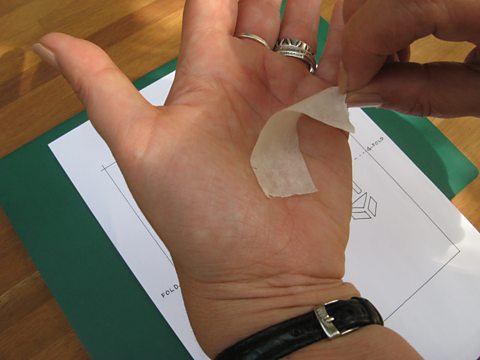 BBC Arts - Get Creative - Cut your teeth on paper art