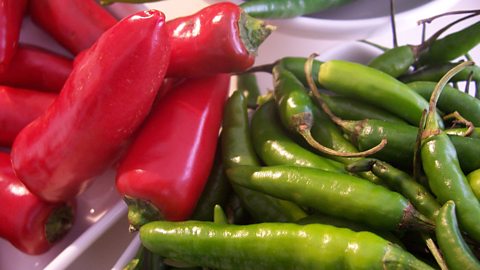 BBC Radio 4 - Radio 4 in Four - Eight flavours you never knew went with ...