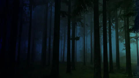 How it feels to live in darkness