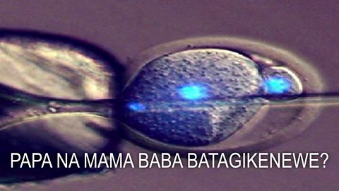 Ababyeyi bombi baba bagikenewe mu ivuka ry'umwana? - BBC News Gahuza