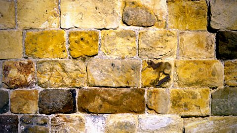 Carnbee - Latest News, Headlines and Entertainment from the BBC