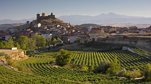 The world’s first blue wine