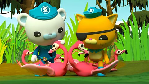 Underwater - CBeebies - BBC