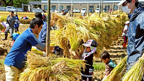 An ingenious solution made of rice