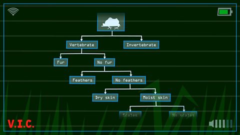 BBC - Outdoor Detective topics