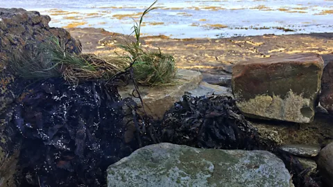 The world’s most underestimated people?