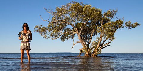 BBC Radio 4 - Costing the Earth, Sinking Solomon Islands - Stunning ...