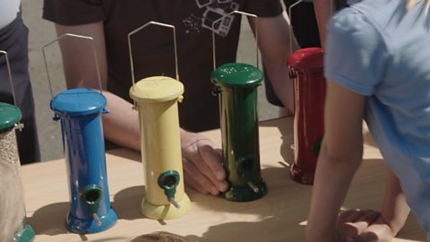 BBC Two - Springwatch - Bird feeder experiment