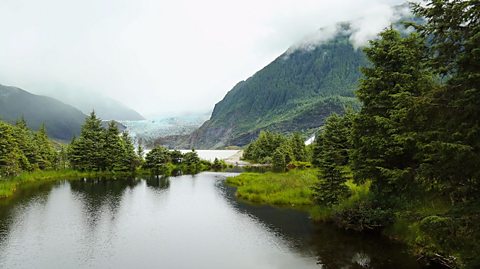 BBC One - Wild Alaska Live - The stars from Wild Alaska Live