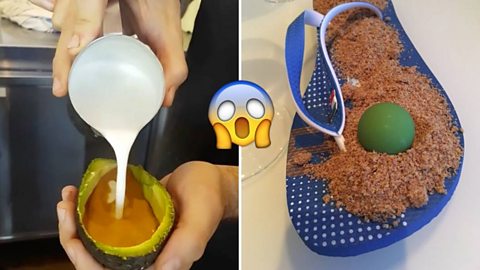 We've officially had our fill of gimmicky ways of serving up food - BBC ...