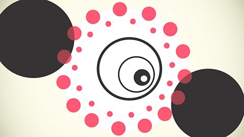 BBC Radio 4 - Radio 4 in Four - 12 fascinating facts about dots