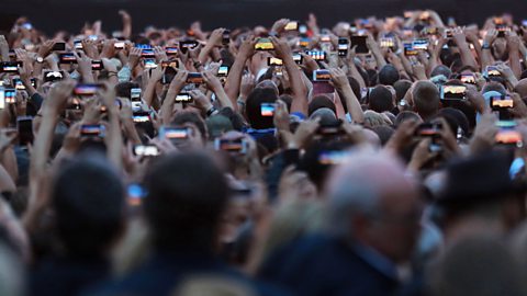 BBC Radio 4 - The Briefing Room, A world without antibiotics?