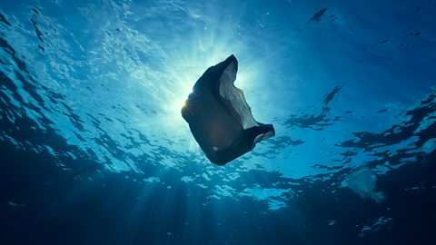 BBC One - Blue Planet II - Get involved with ocean conservation