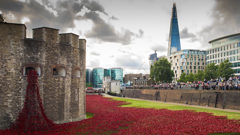 BBC Radio 3 - The Essay - Seven significant facts about poppies