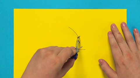 How to construct triangles - BBC Bitesize