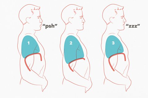 BBC Radio 4 - Radio 4 in Four - Five steps to get a must-listen voice