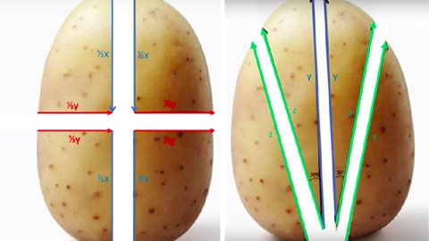 How maths can give you the perfect roast potato - BBC Three