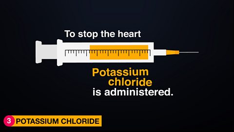 Life and Death Row: How the lethal injection kills - BBC Three