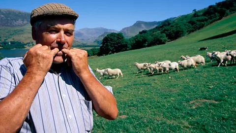 The surprising history of the wolf-whistle