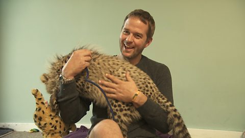 BBC Two - Big Cats about the House - In pictures: Willow and Maya