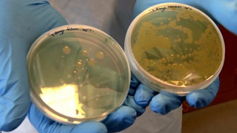 BBC Scotland - BBC Scotland - Plastic’s fantastic alternative — how a ...