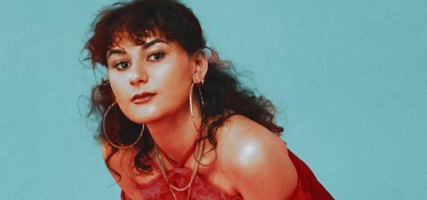 BBC Wales - Horizons - MARGED