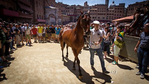 BBC Two - Extraordinary Rituals - The power of rituals